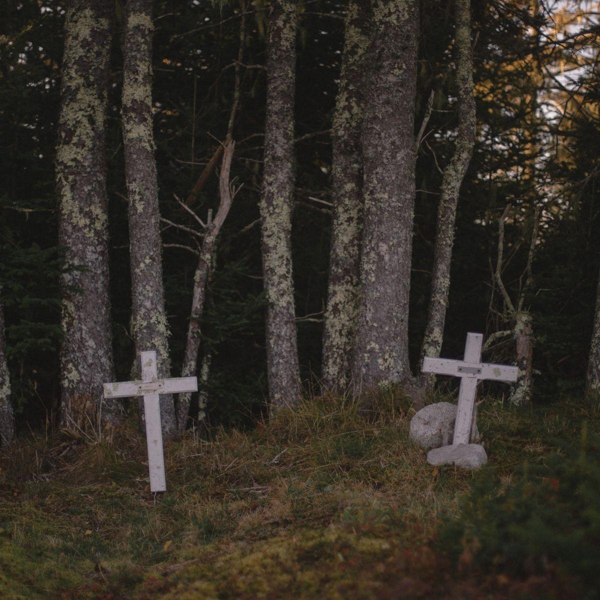 Time Bomb - Ataraxia (2021, Deathcore) - Download for free via torrent ...